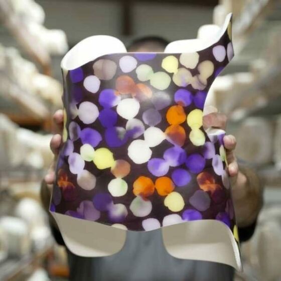 Spinal Technology | Brace Patterns Photo Gallery